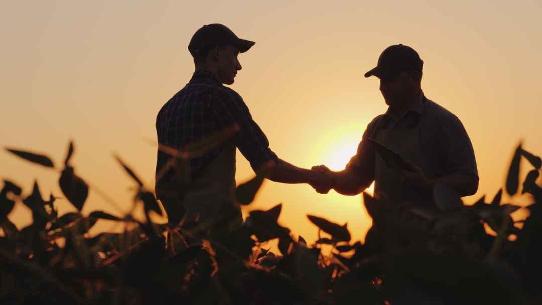 USDA Announces $12 Billion Farmer Bridge Payments | Farmers Hot Line