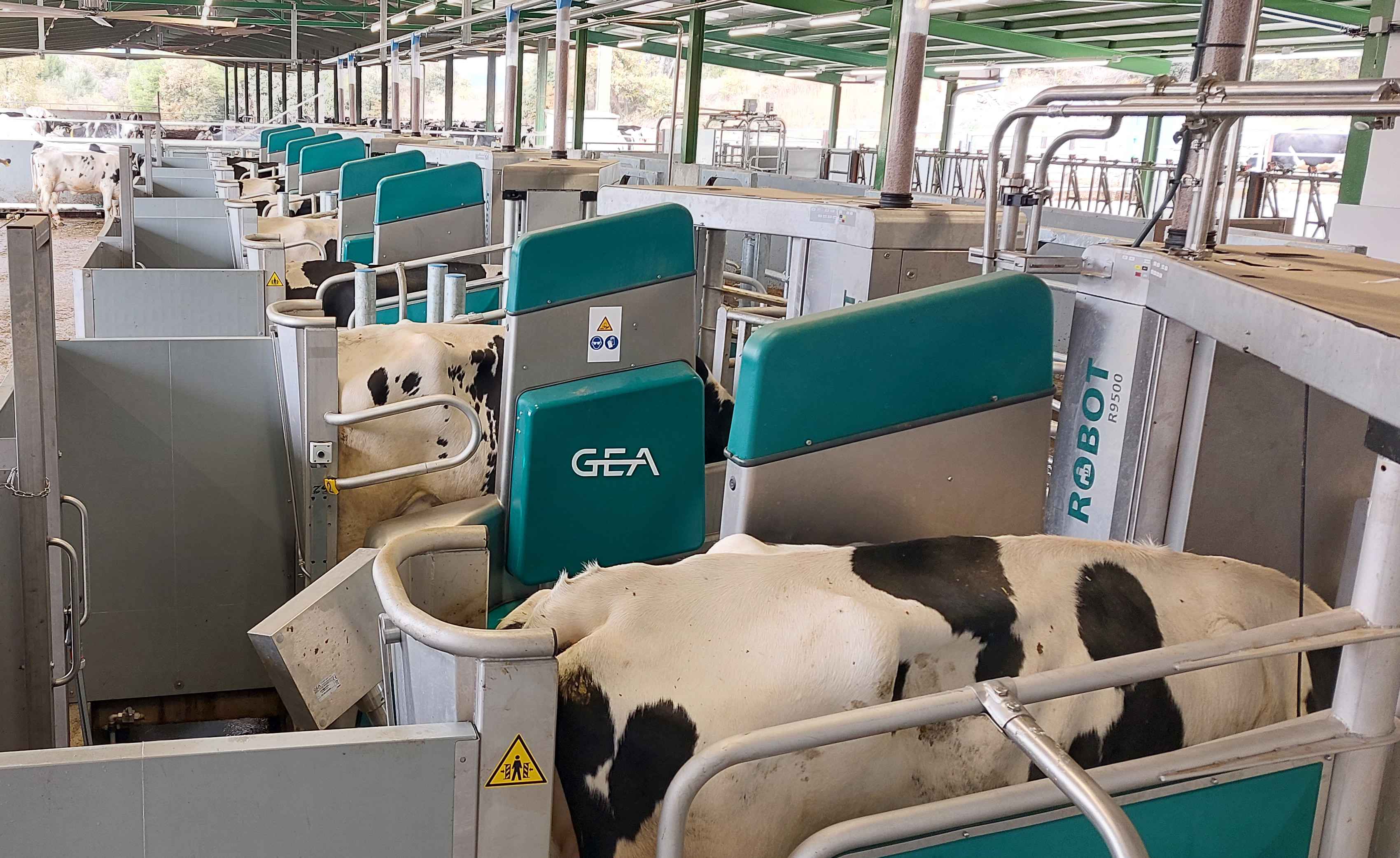 GEA Unveiled New Products and Celebrated Milestones at World Dairy Expo ...