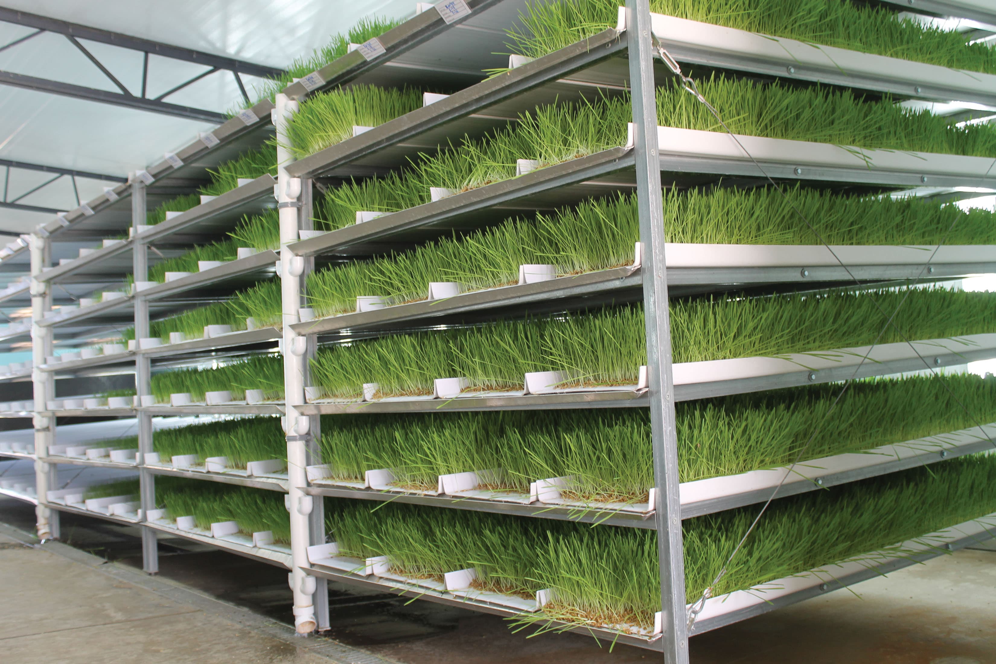 Newly-Designed FodderPro System Now Available | Farmers Hot Line